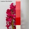 Hue Value Chroma - The Secret to Colour Mixing